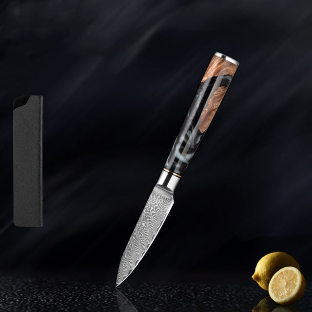 SAKUTO (作東) Japanese Damascus Steel Kitchen Knife Set With Coloured Bl ...
